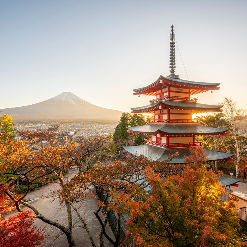 Avec MyCosta, faites de votre croisière des vacances uniques | CostaClub