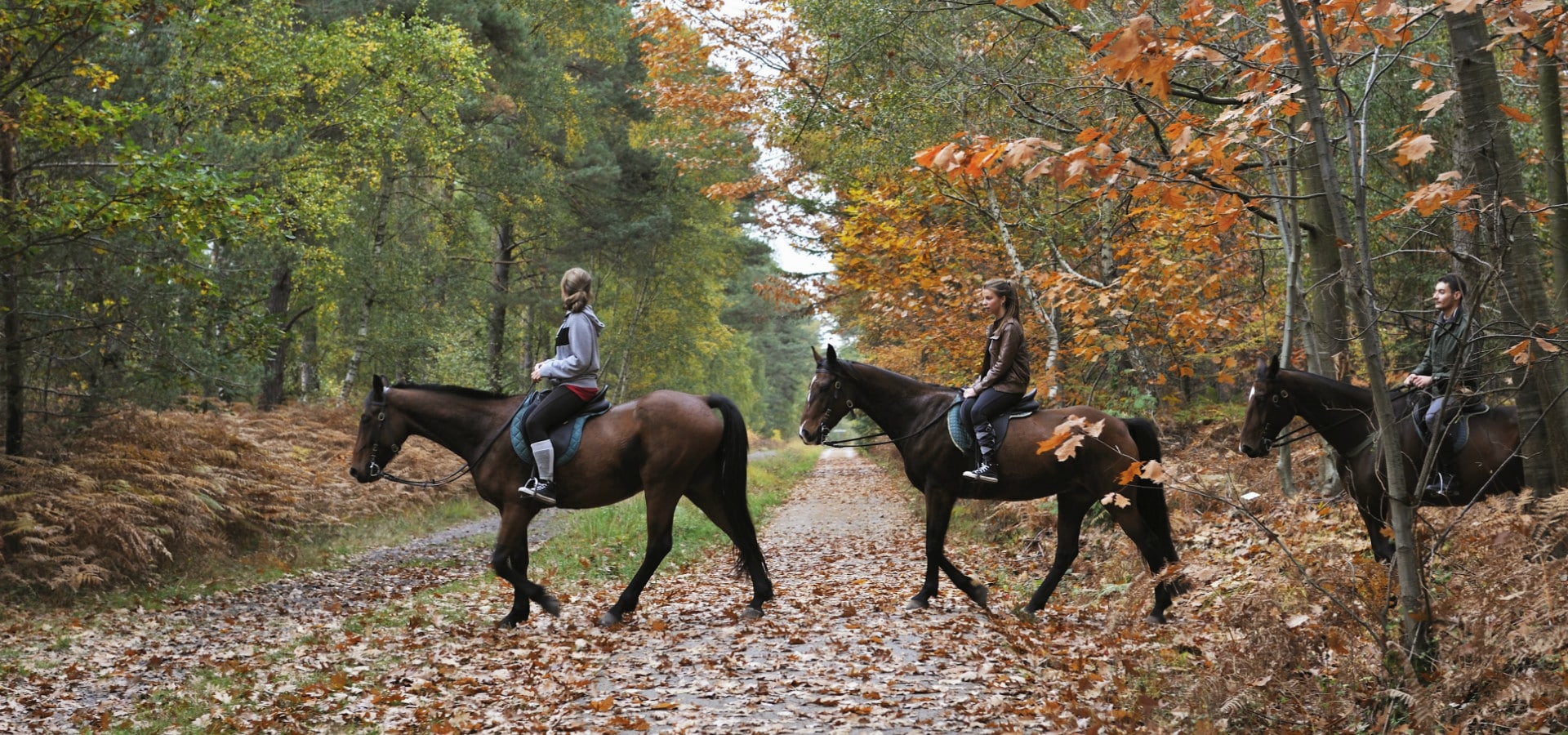 Automne: quatre activités pour se sentir bien, à pratiquer au grand air ...