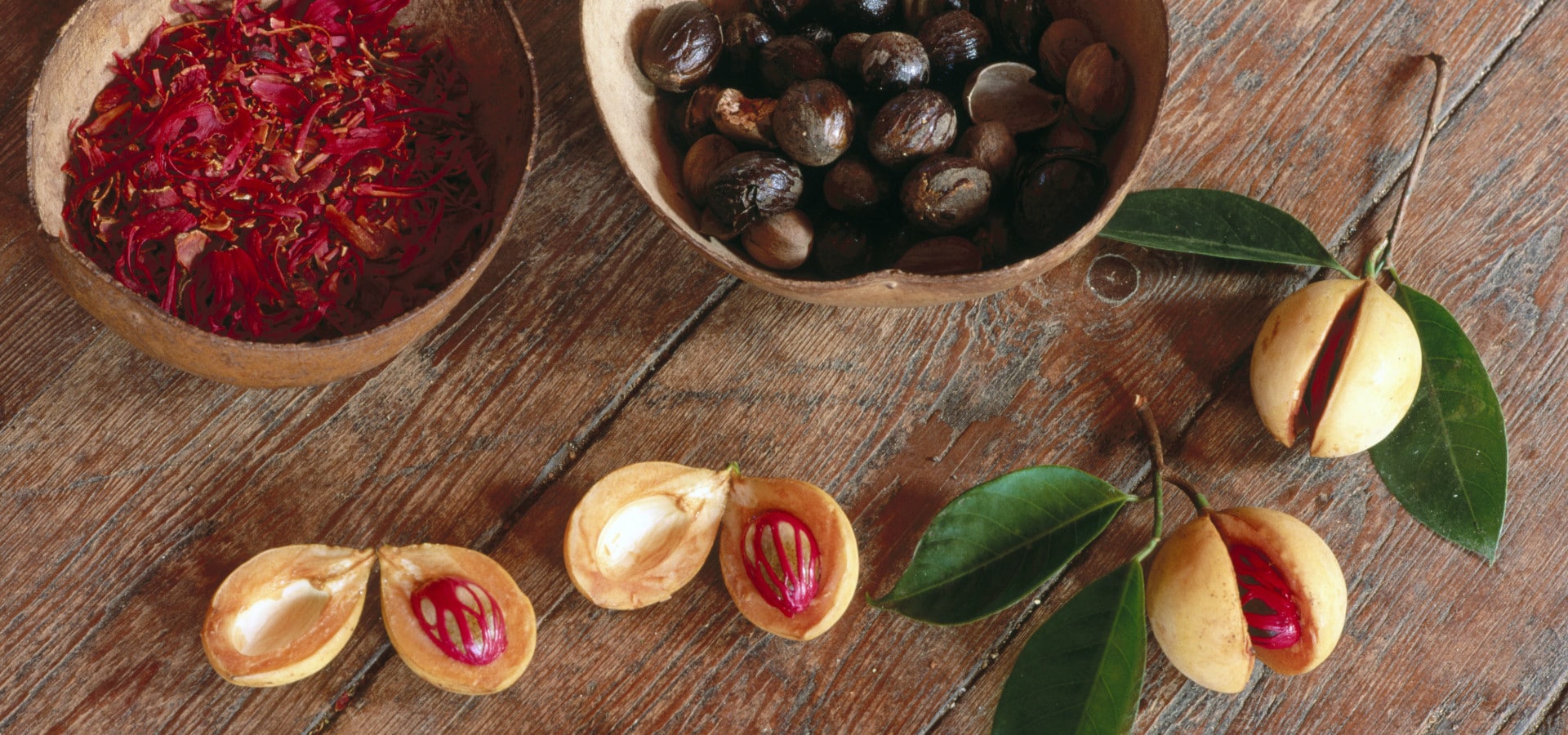 Le parfum de Grenade | CostaClub