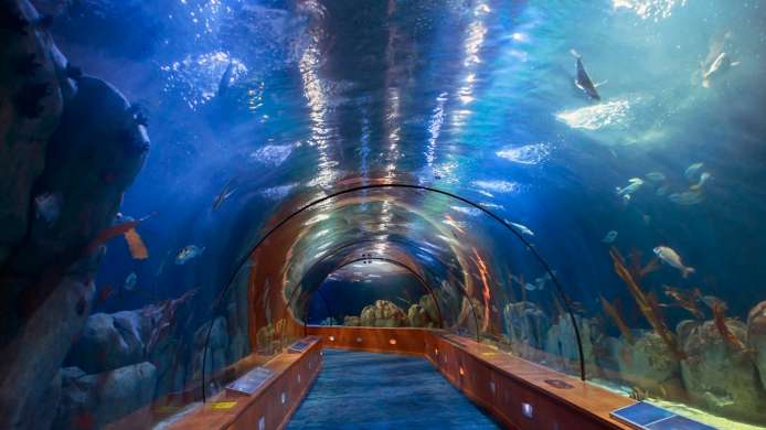 Visiter Valencia: les sites incontournables à voir | Costa Croisières