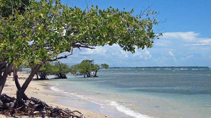 Les 30 plus belles plages de Porto Rico | Costa Croisières