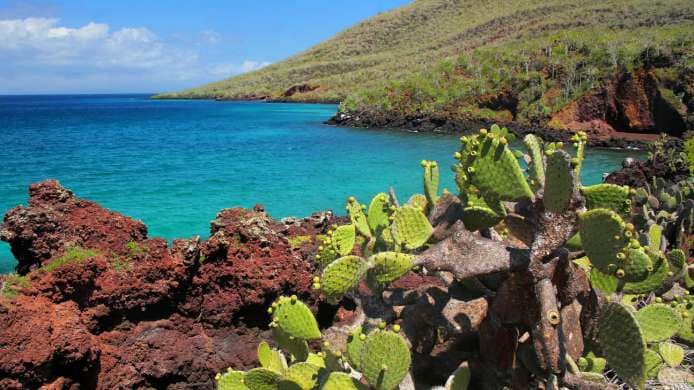 Les îles Galapagos : les 15 plus belles îles | Costa Croisières